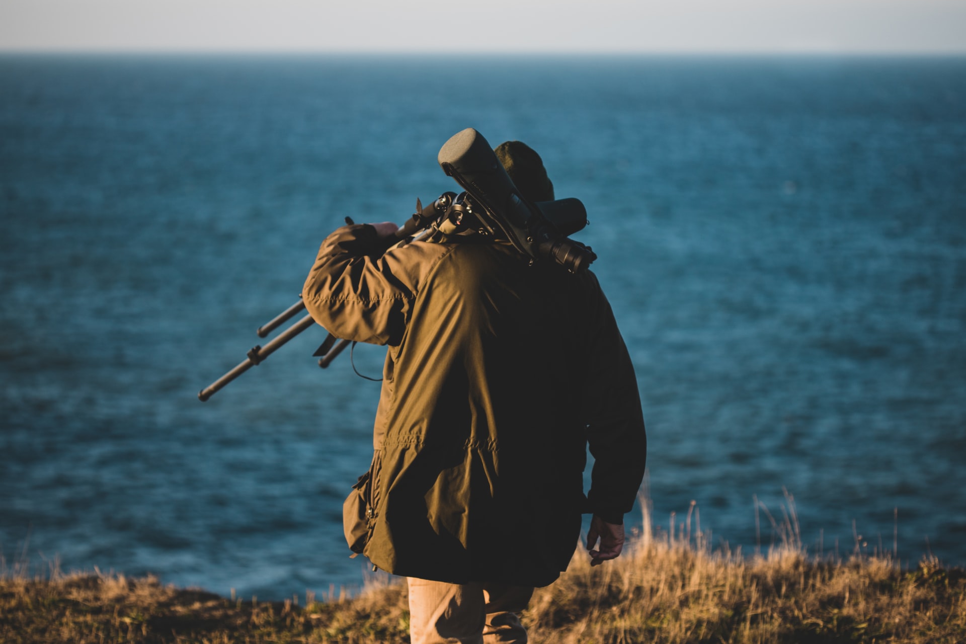 Spectator Hobbies (Passive Hobbies to Enjoy Just by Watching) - Fresh Hobby