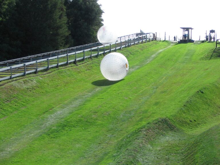 Zorbing: Beginner's Guide to the Human Hampster Ball - Fresh Hobby