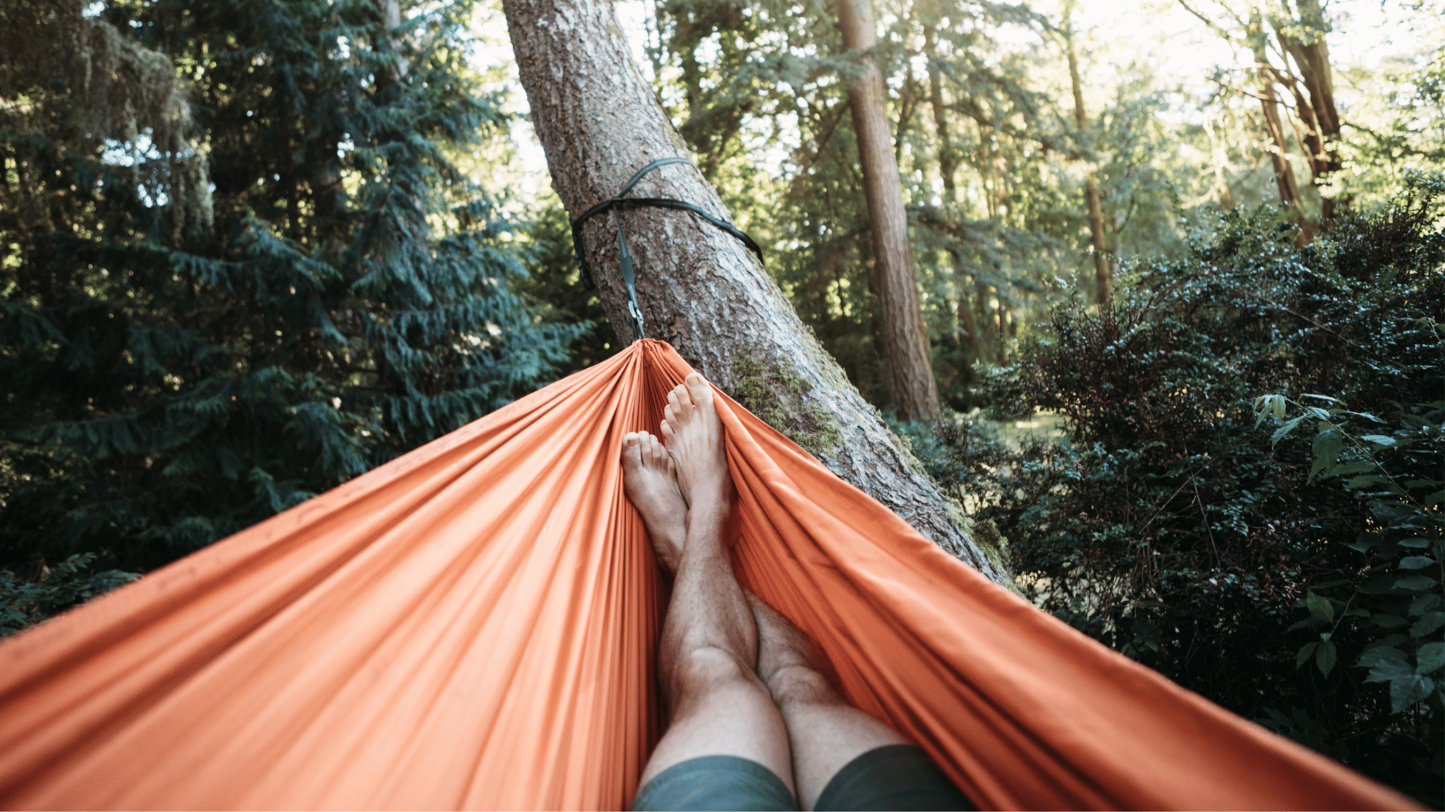 22 Awesome Backyard Hobbies | Activities for the Outdoors! - Fresh Hobby