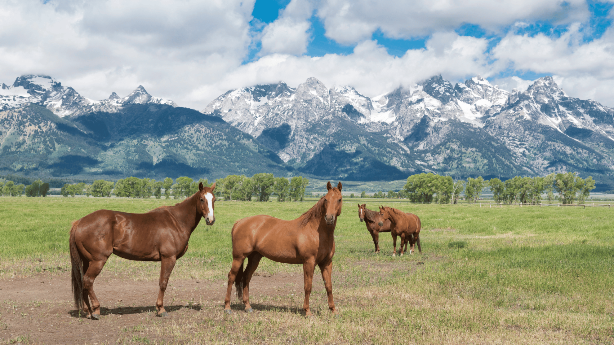 Top 5 Hobbies to Discover in Wyoming | Wonderful Activities for ...