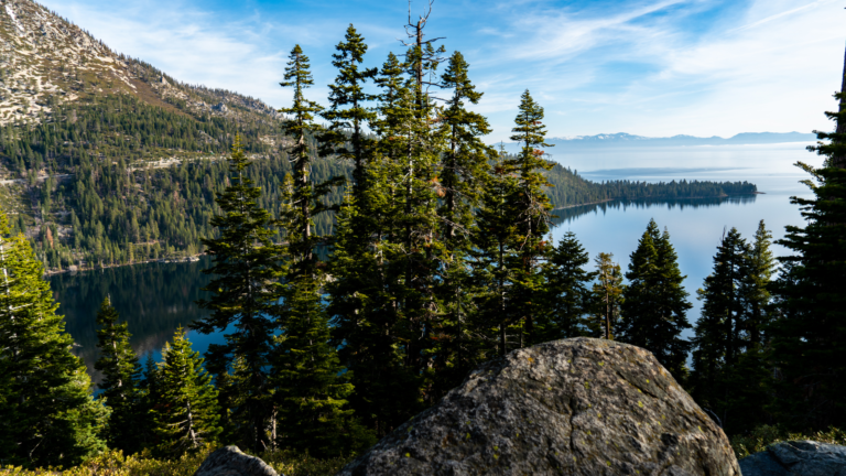 Earth Day Icebreaker Questions | 50+ Eco-Friendly Conversation Starters ...