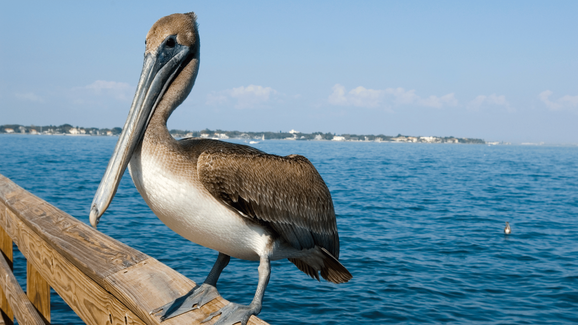Top 5 Hobbies to Discover in Florida | Great Activities for Floridians ...