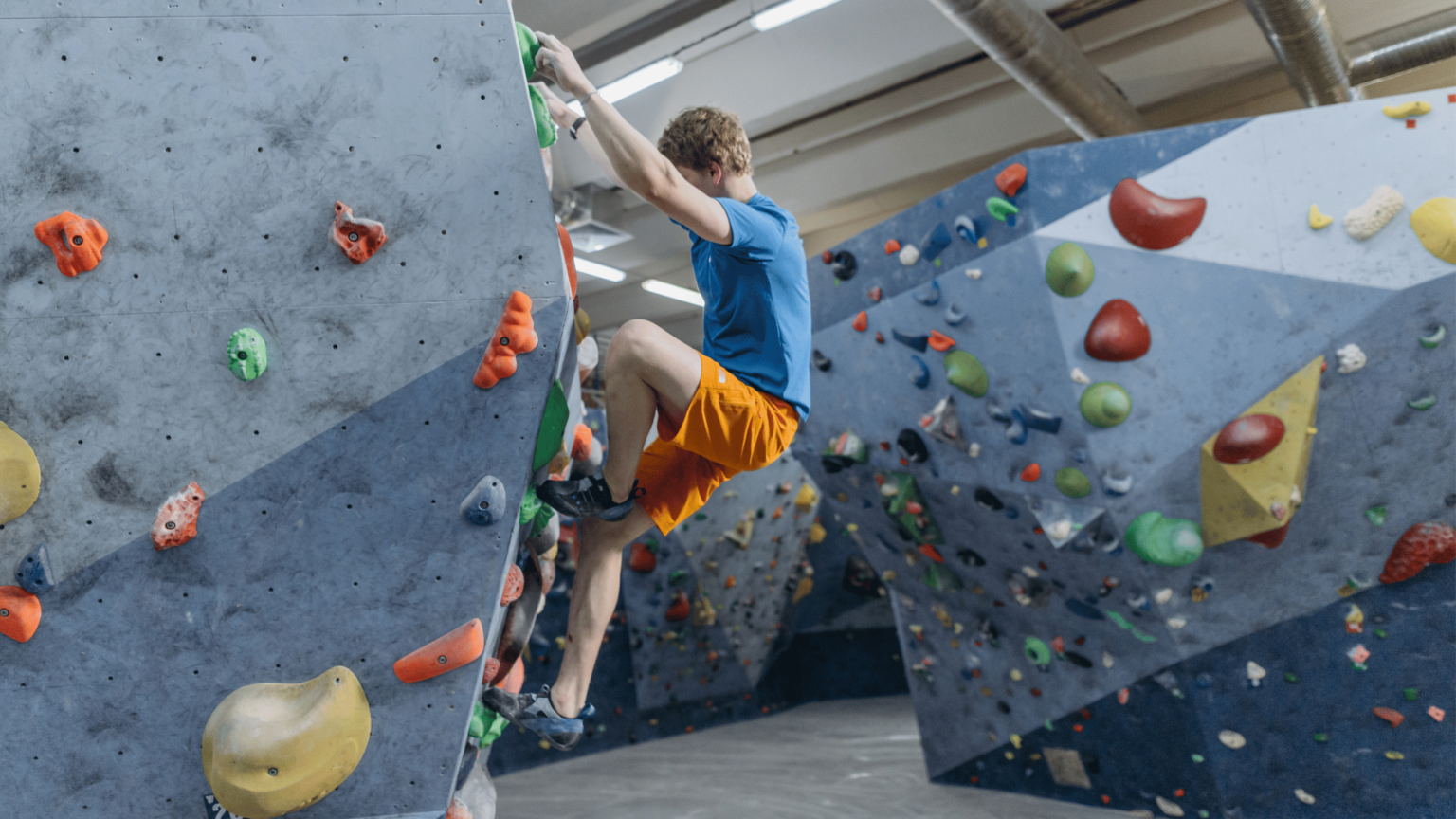 The Five Best Hobbies for ENTP Personality Types - Fresh Hobby