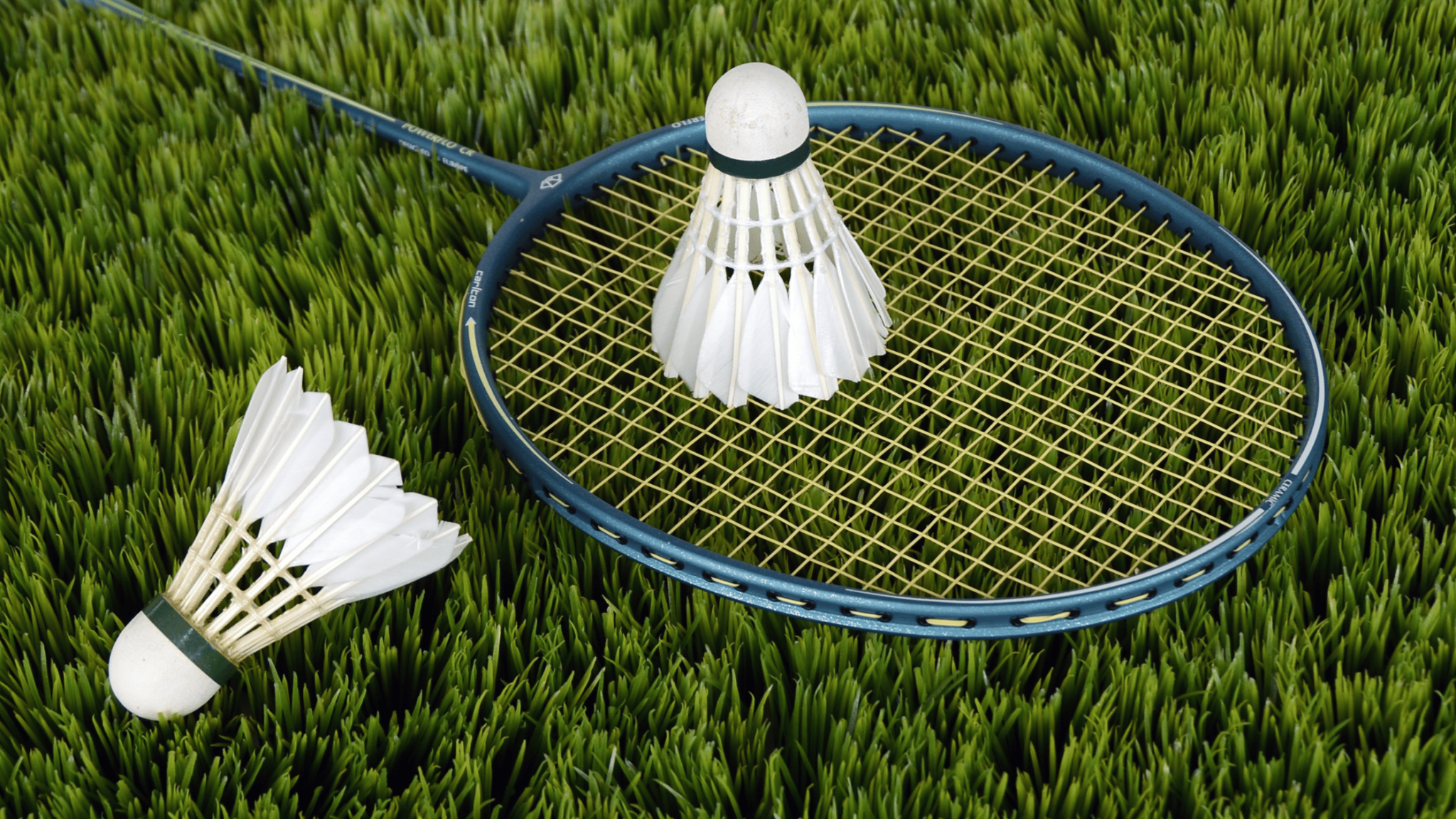 Badminton 101 | The Best Backyard Racquet Game - Fresh Hobby