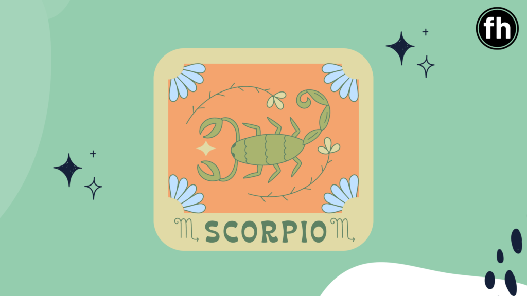 Scorpio Hobbies | 7 Best Hobbies for Scorpio Zodiac Sign - Fresh Hobby