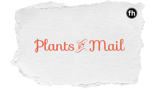 The Best Websites to Buy Plants: A Green Thumb’s Guide to Online ...