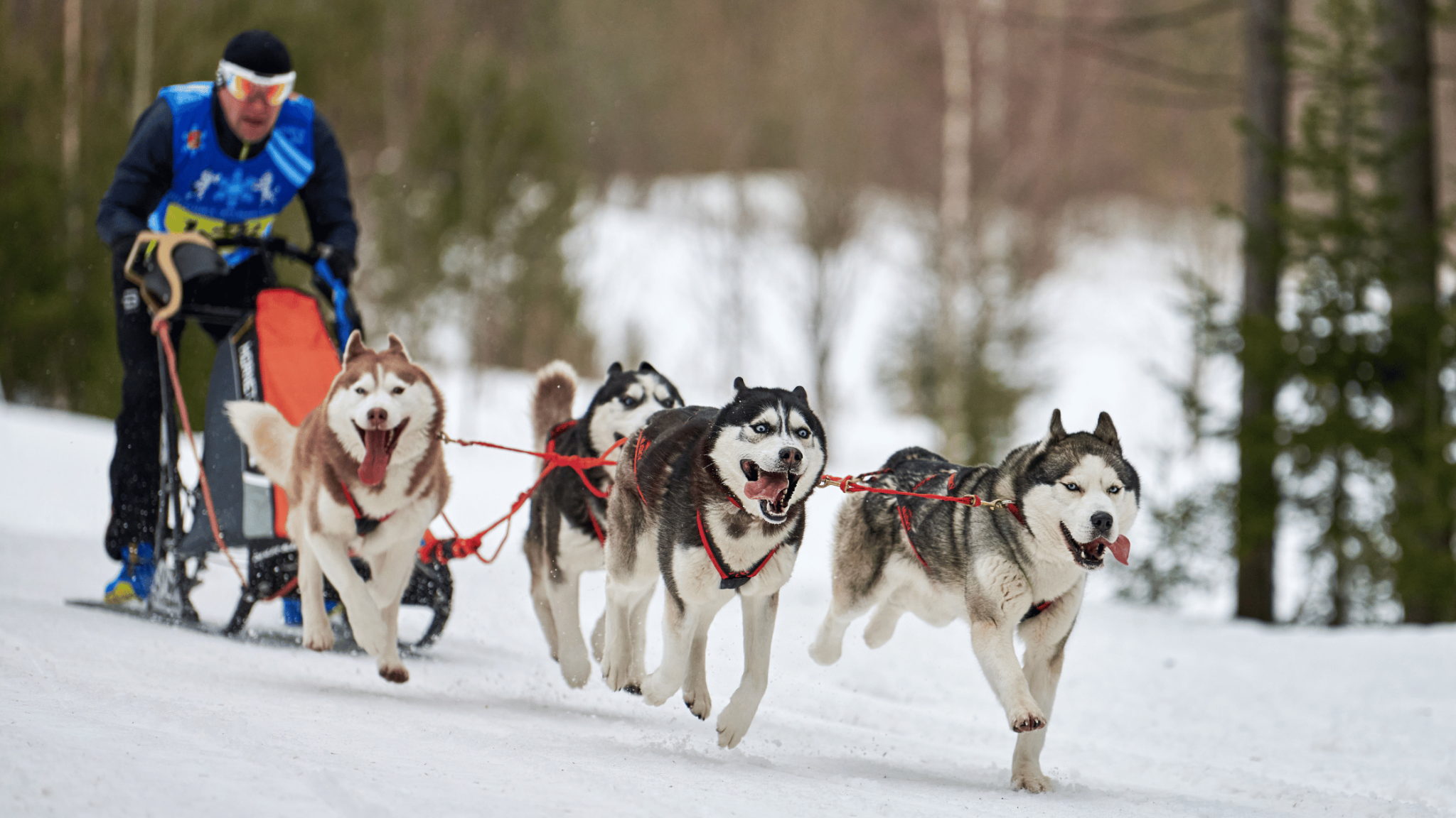Extreme Hobbies | Adventurous, Exciting and Thrill-Seeking Hobby Ideas ...