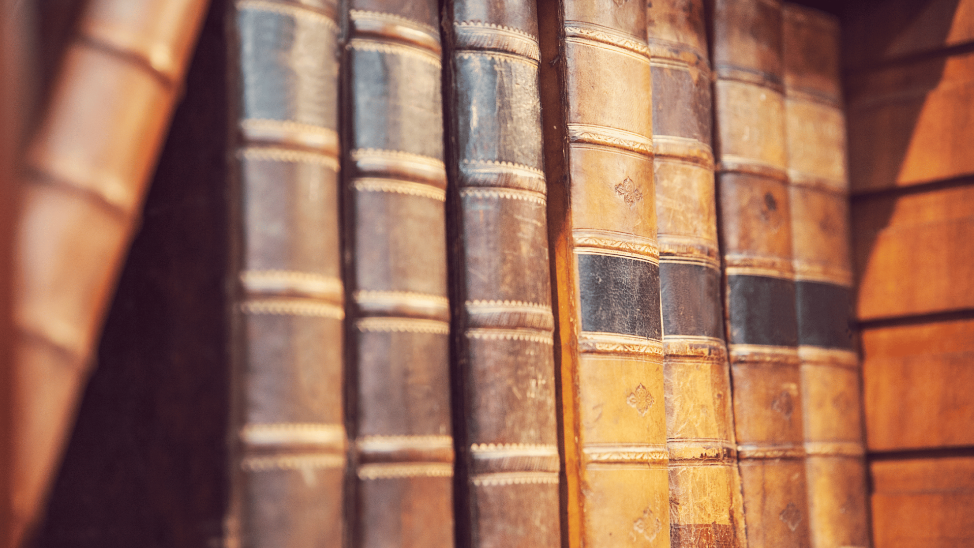 The 20 Best Hobbies for Avid Readers | Literary Hobby Ideas - Fresh Hobby