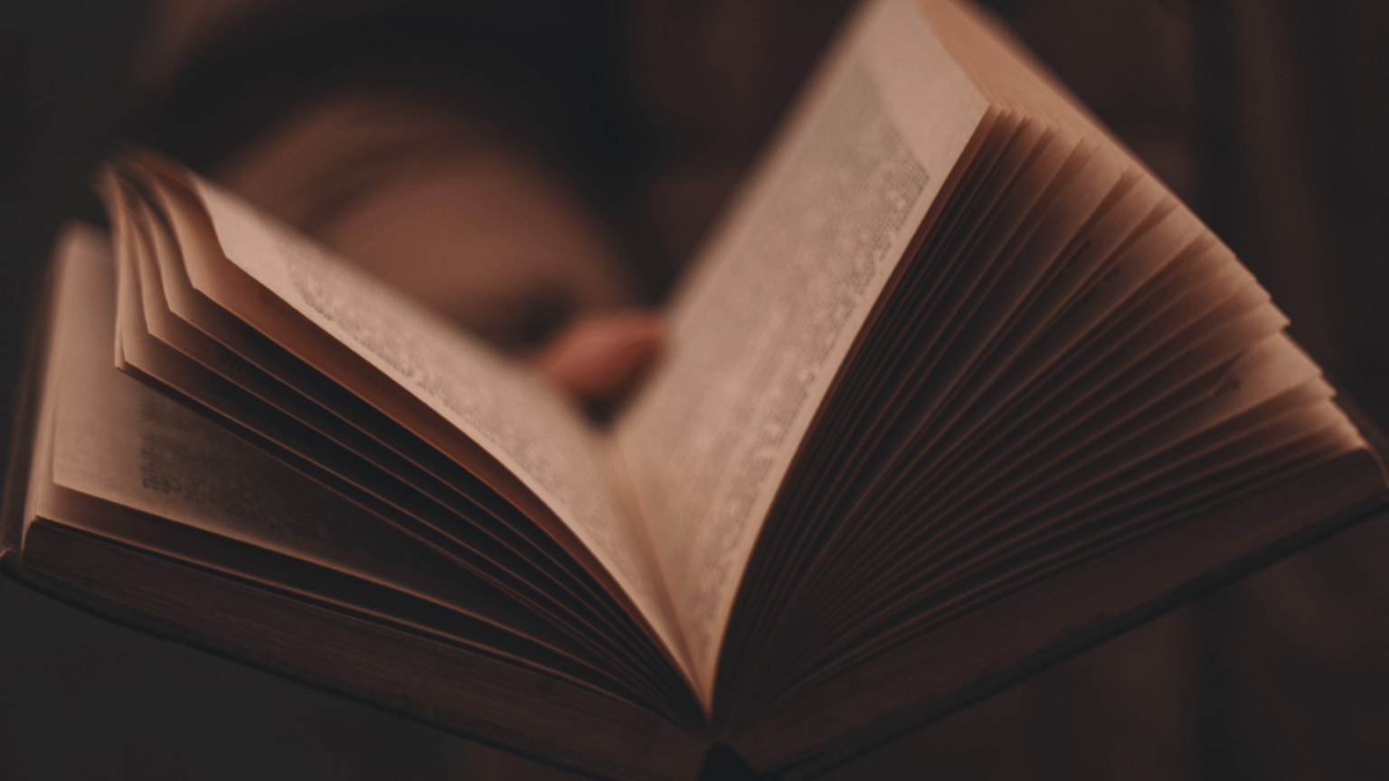The 20 Best Hobbies for Avid Readers | Literary Hobby Ideas - Fresh Hobby