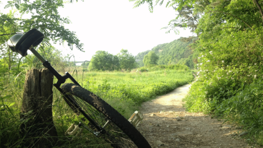 Beginner's Guide to Unicycling as a Hobby: Mastering the Basics | Fresh ...